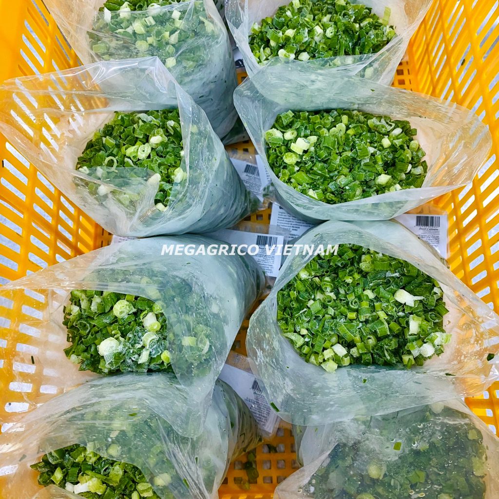 FRESH GREEN ONION - FRESH SPICES - MEGAGRICO VIETNAM