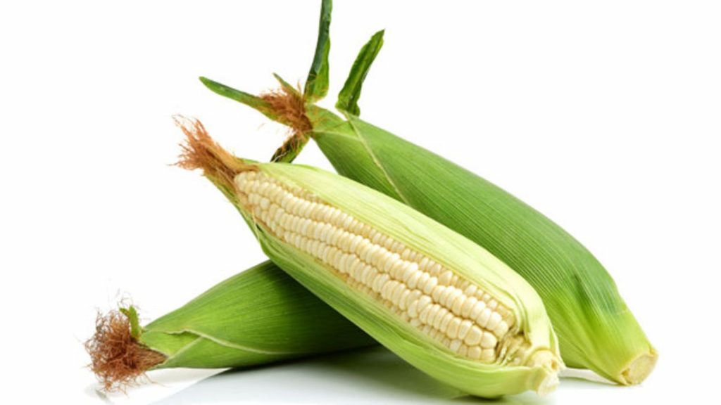 Frozen Corn - Fresh Corn Vietnam - Megagrico Vietnam