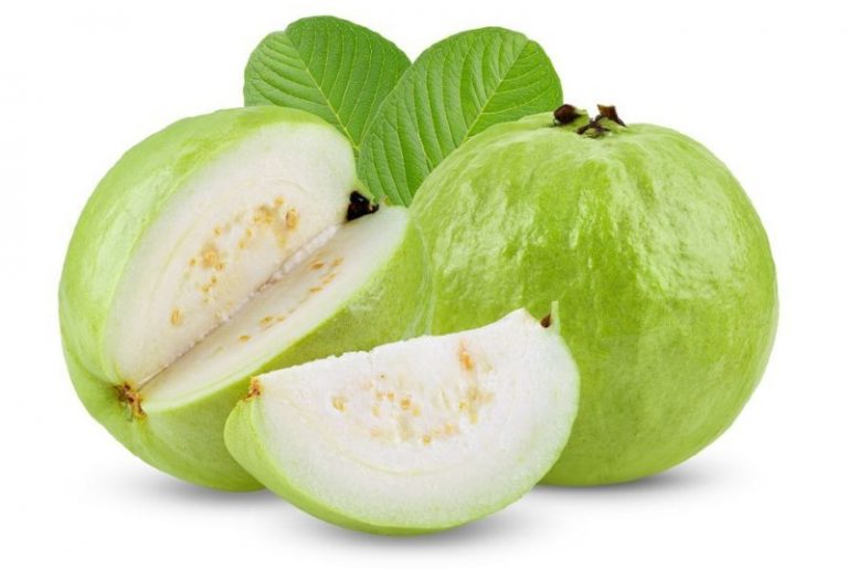 FROZEN GUAVA VIETNAM - FRESH FRUIT - MEGAGRICO VIETNAM