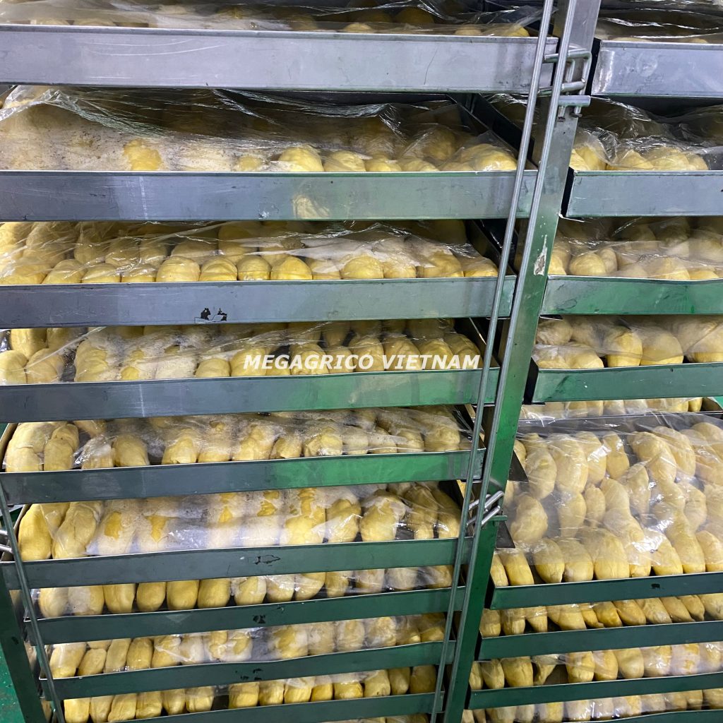 Frozen Ri6 Durian - MEGAGRICO VIETNAM