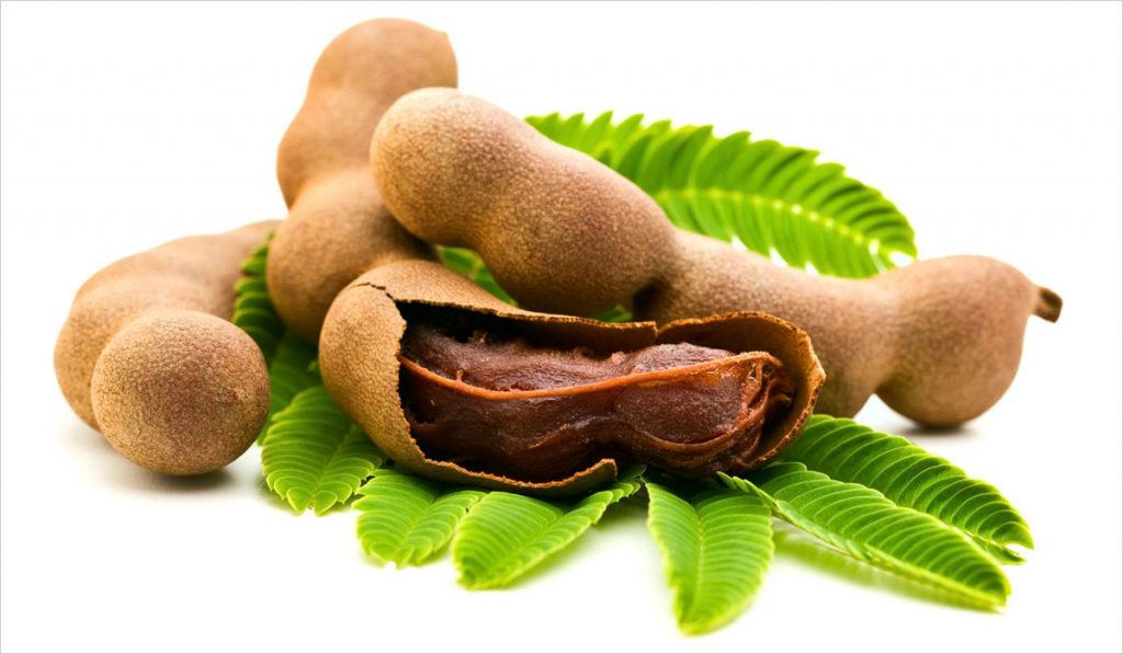 Frozen Tamarind - MEGAGRICO VIETNAM