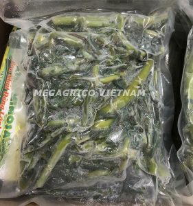Frozen Water Mimosa - MEGAGRICO VIETNAM