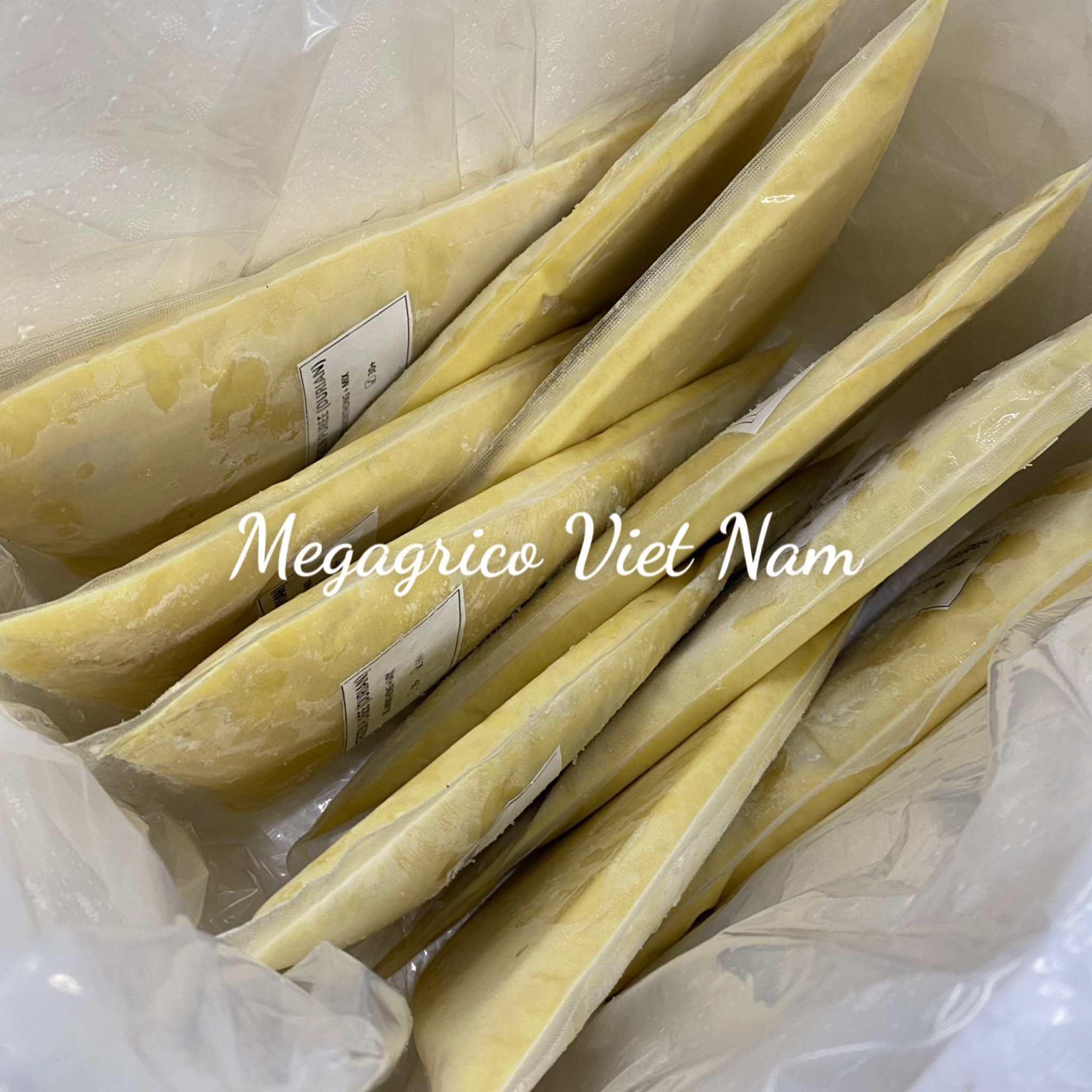 Frozen Durian Puree - MEGAGRICO VIETNAM