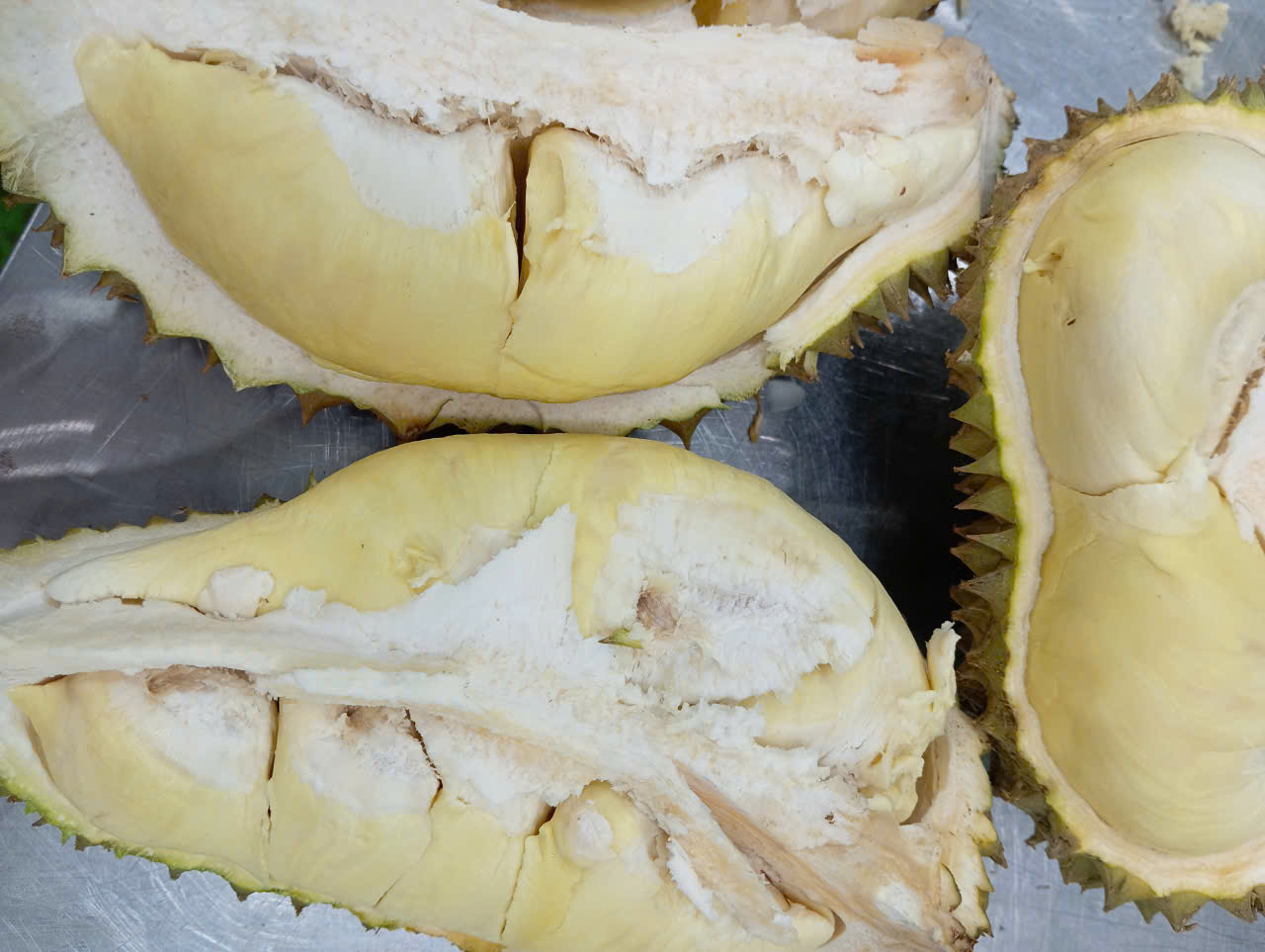 Monthong Durian from Viet Nam - MEGAGRICO VIETNAM