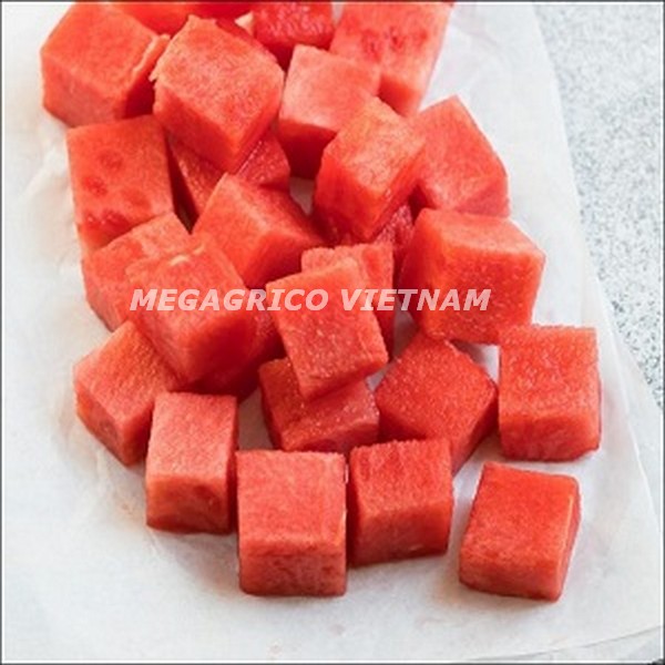 Vietnamese Watermelon - MEGAGRICO VIETNAM