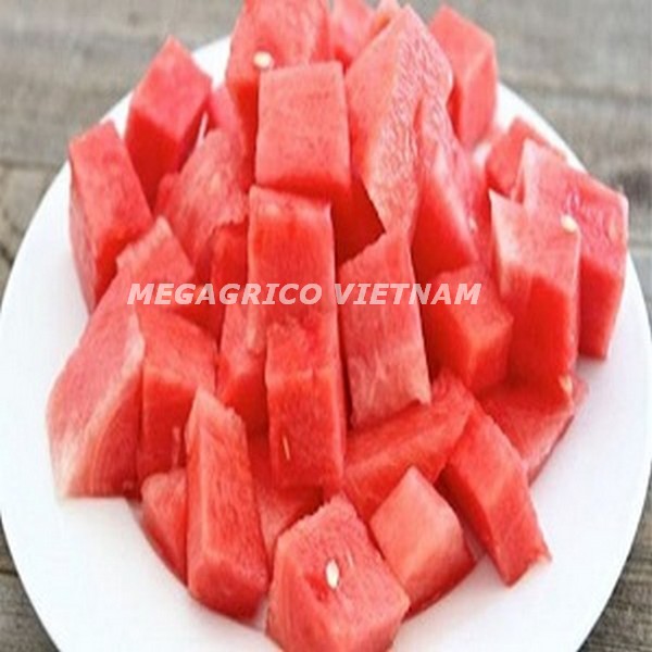 Vietnamese Watermelon - MEGAGRICO VIETNAM