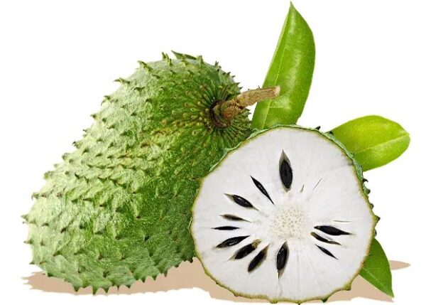 Home - MEGAGRICO VIETNAM